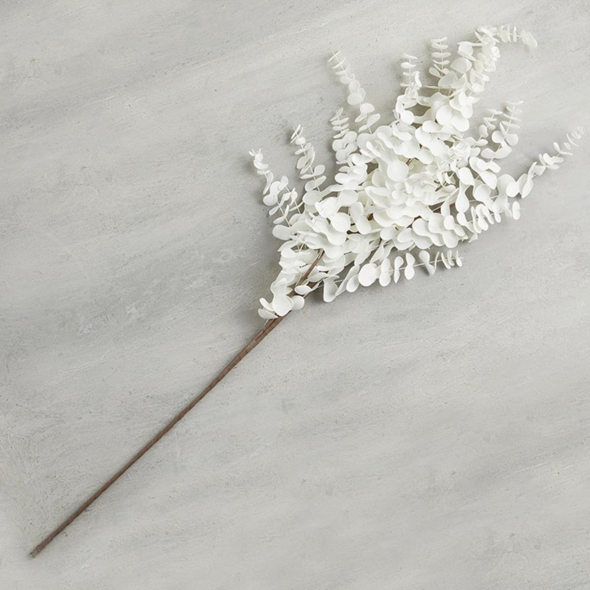 Botanical Stem | 40" – Grace and Joy Company