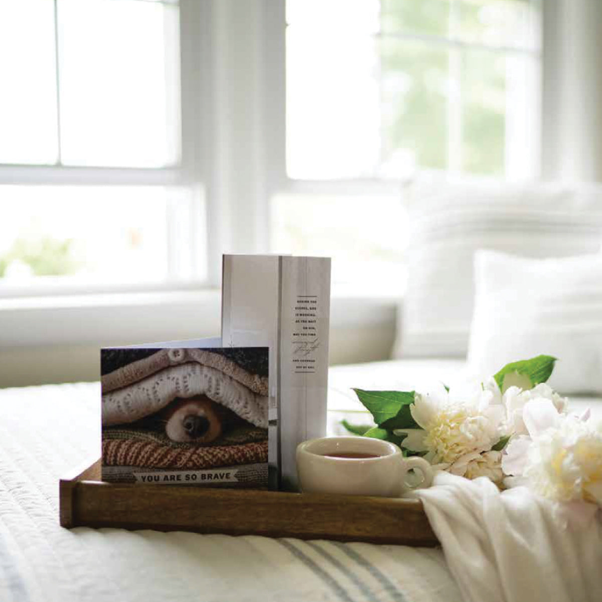 Individual Greeting Cards – Grace and Joy Company