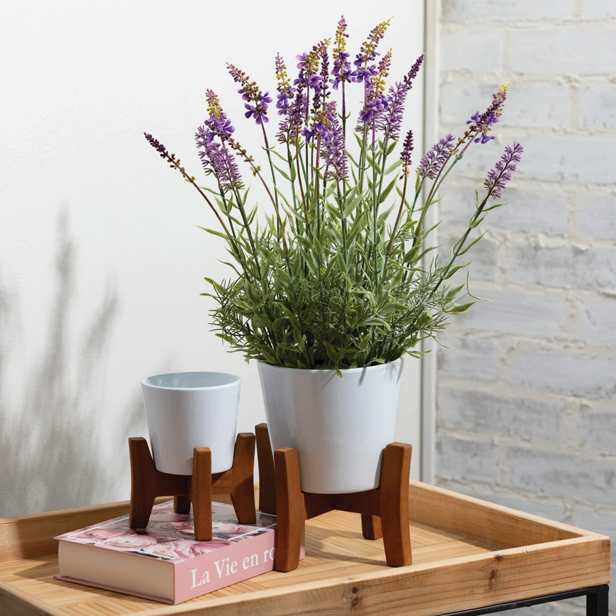 Potted Lavender Plant – Grace and Joy Company